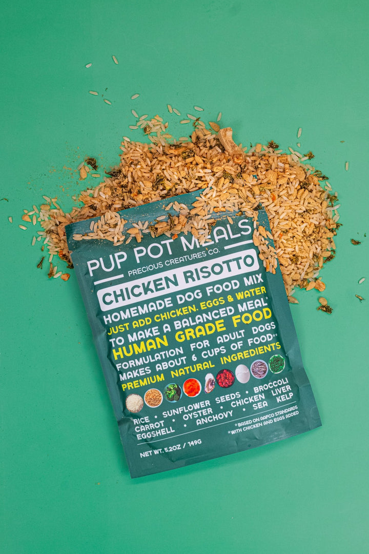 Real food for dogs – Precious Creatures Co