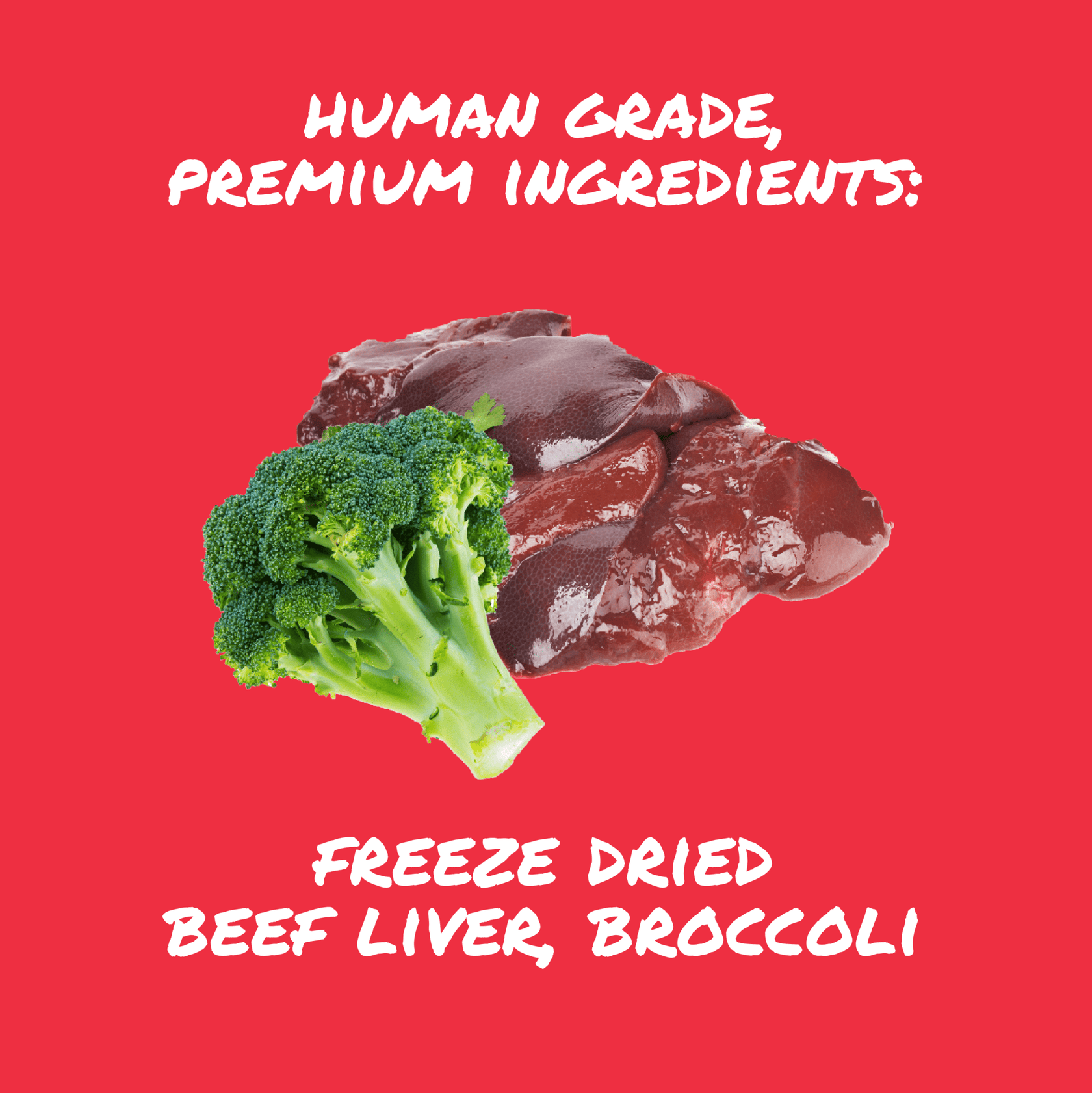 Real food for dogs – Precious Creatures Co