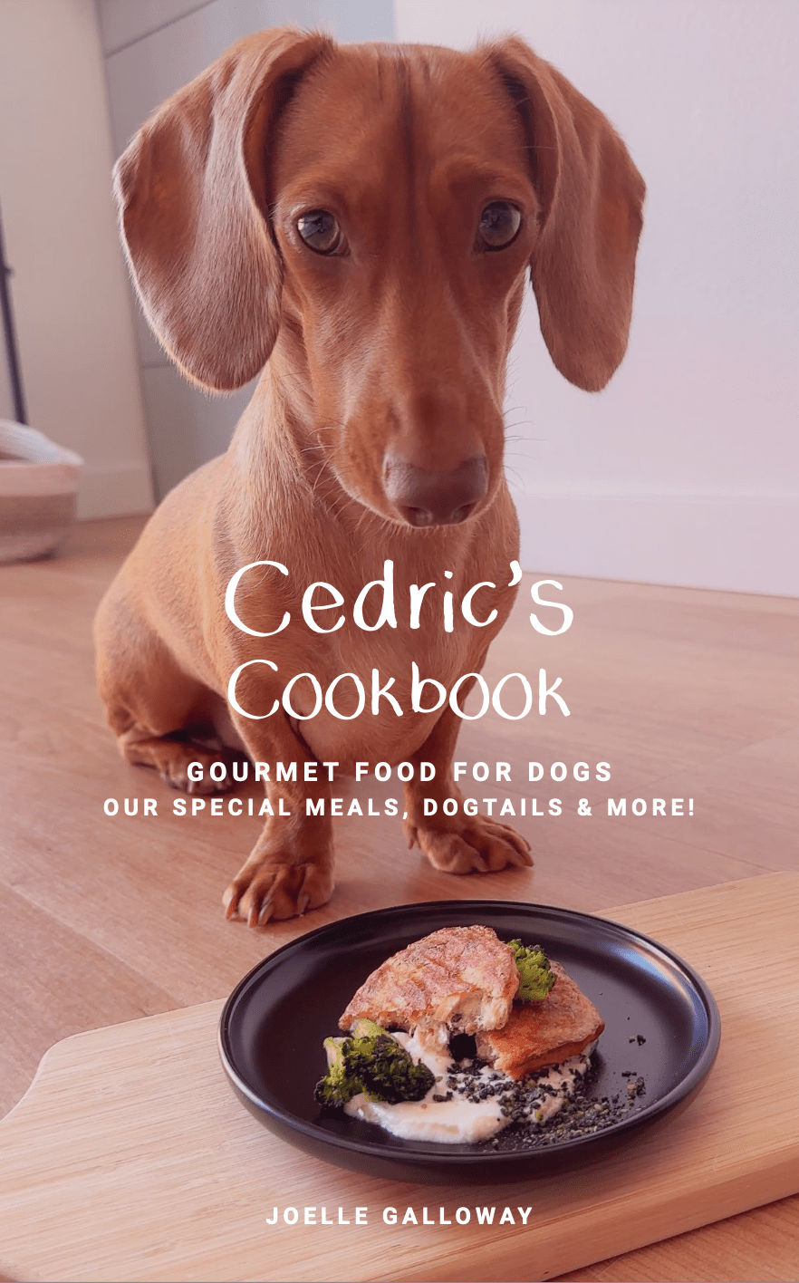 Real food for dogs – Precious Creatures Co