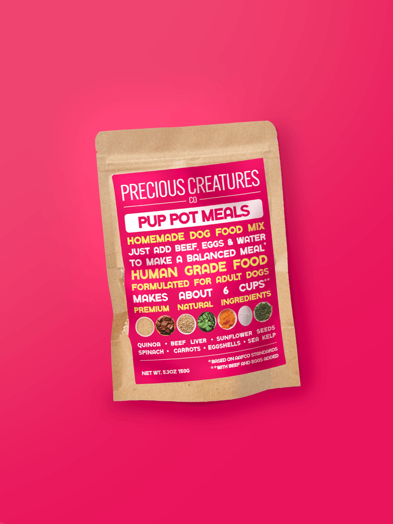 Real food for dogs – Precious Creatures Co